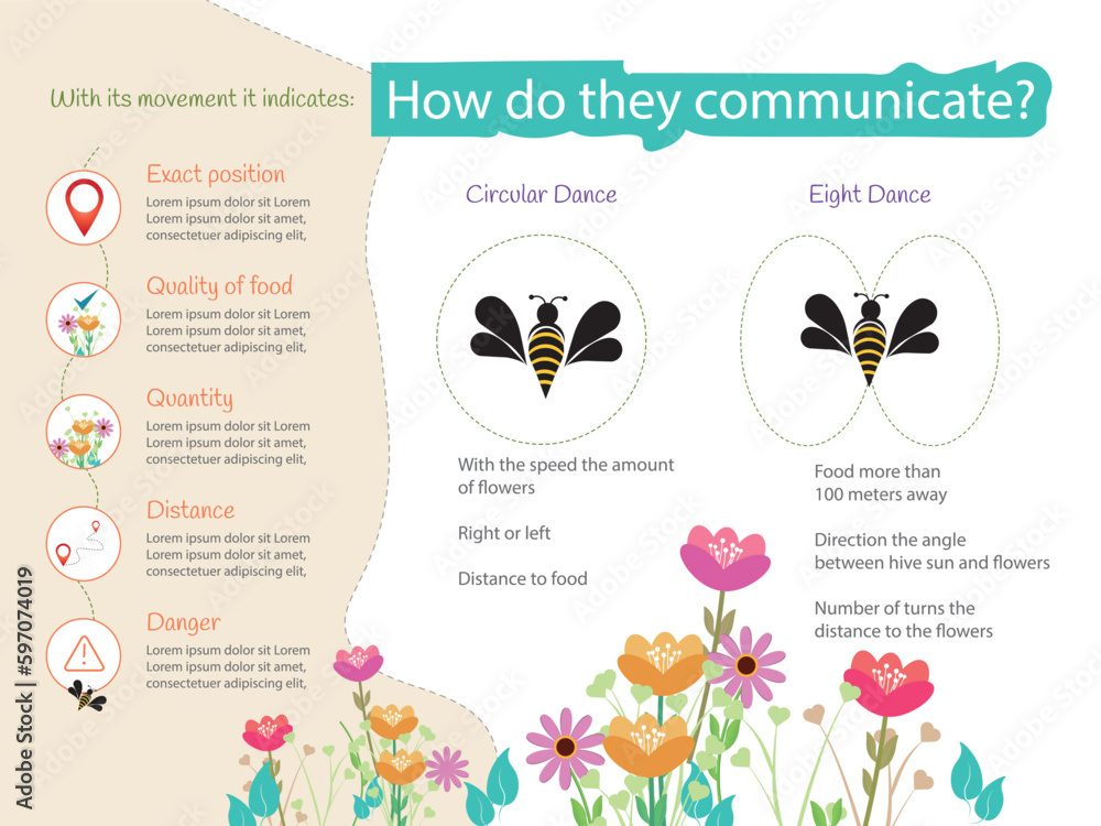 Vetor de Infographic of how bees communicate, what they communicate and ...