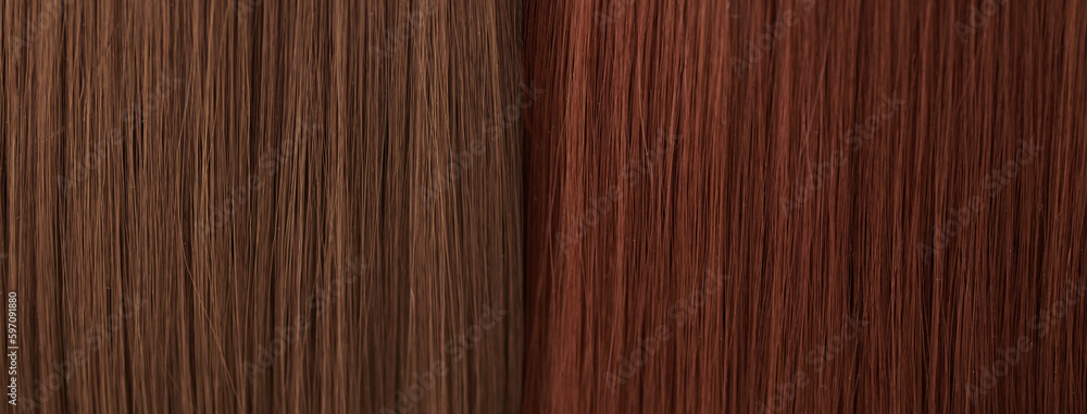 Close-up texture colored hair set. Toned different shades of strands ...