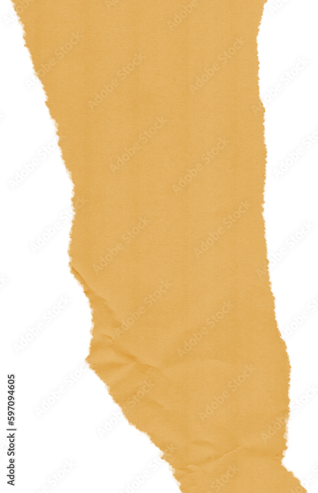 Torn piece of wrapping paper in a vertical position Stock Photo | Adobe ...