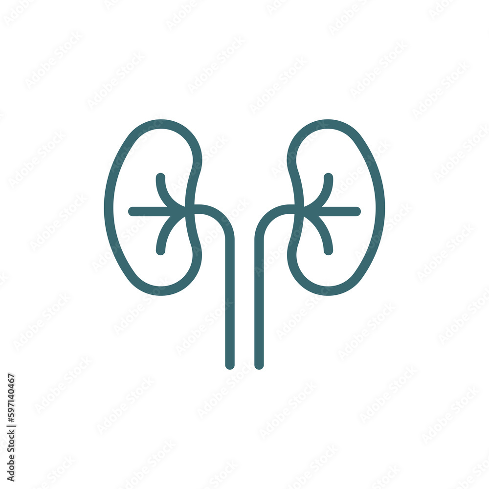 kidney icon. Filled kidney icon from medical collection. Glyph vector ...