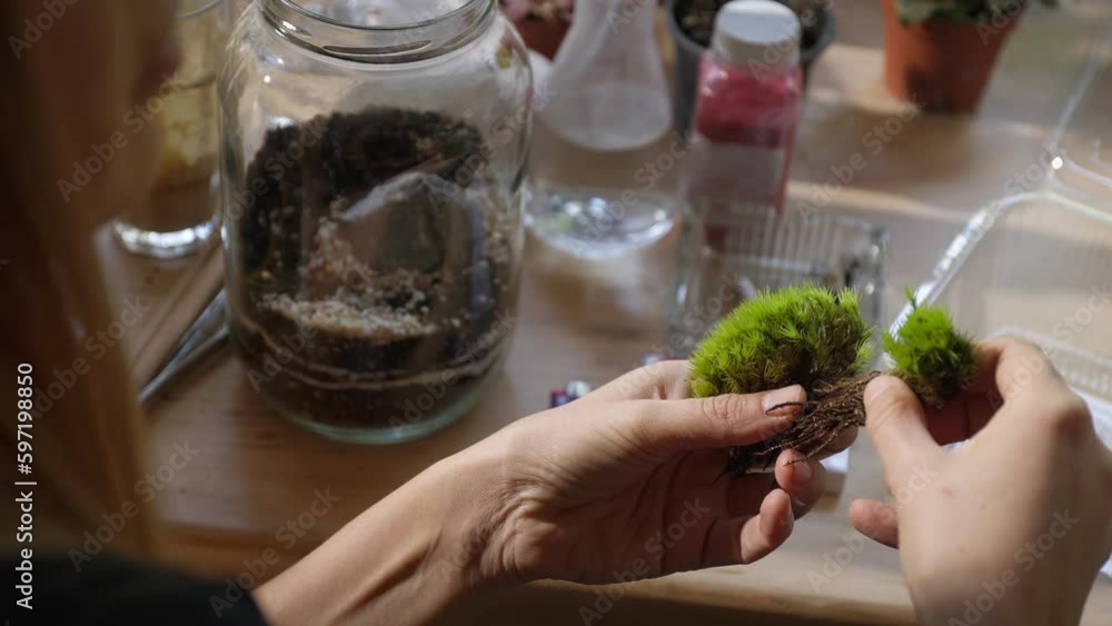 Person making terrarium. Group of people at outdoor florarium training ...