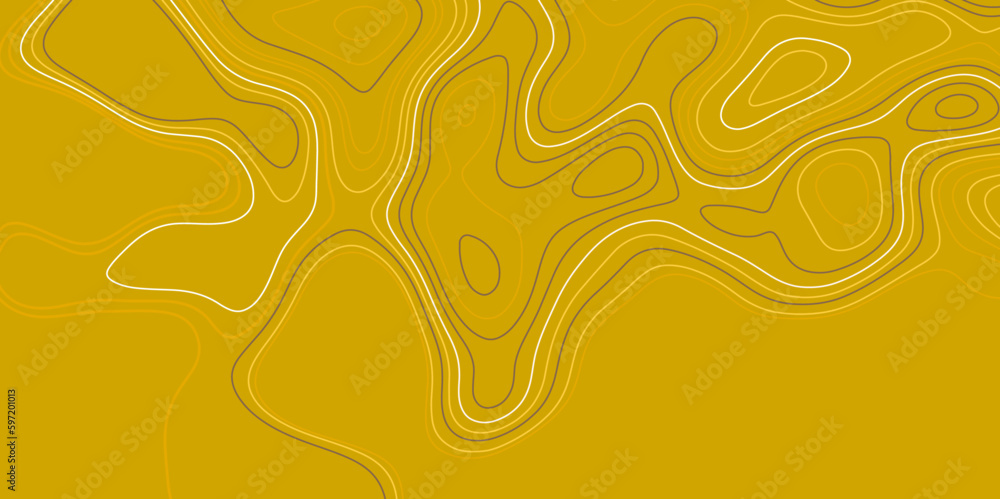 Topographic Contour Map Creative Cartography Illustration Topography And Geography Map Grid