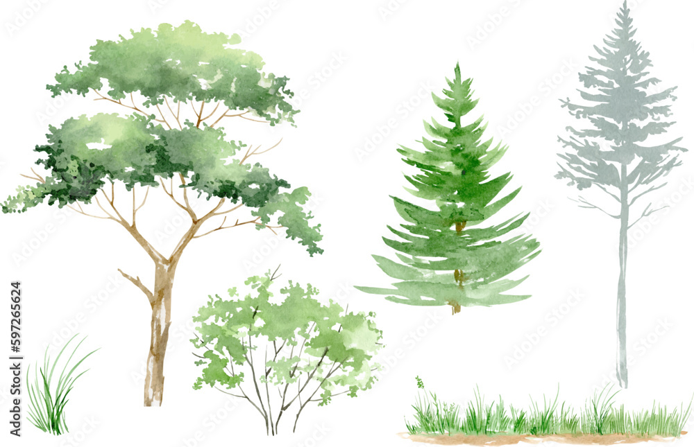 Vector watercolor tree side view isolated on white background, Forest ...