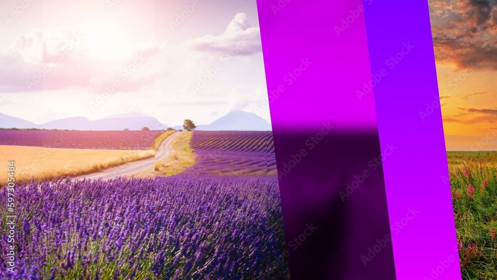 Elegant Line Transition Stock Template | Adobe Stock