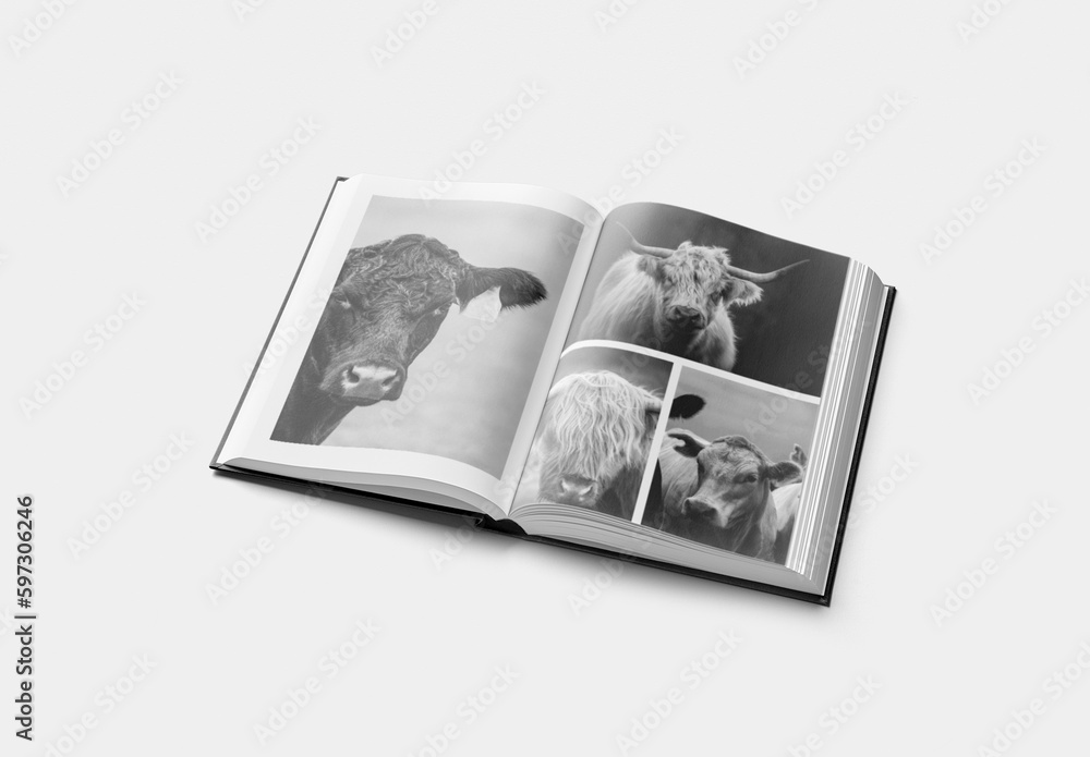 Open Vertical Photo Album Mockup Stock Template | Adobe Stock