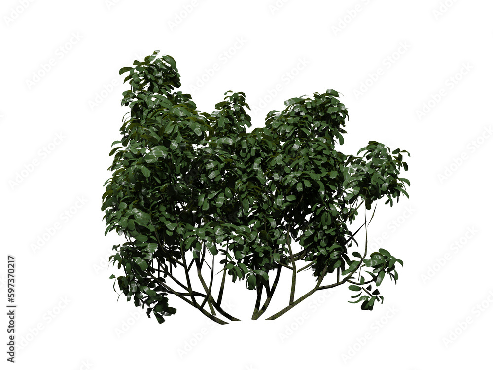 Flower tree png with transparent background Stock Illustration | Adobe ...