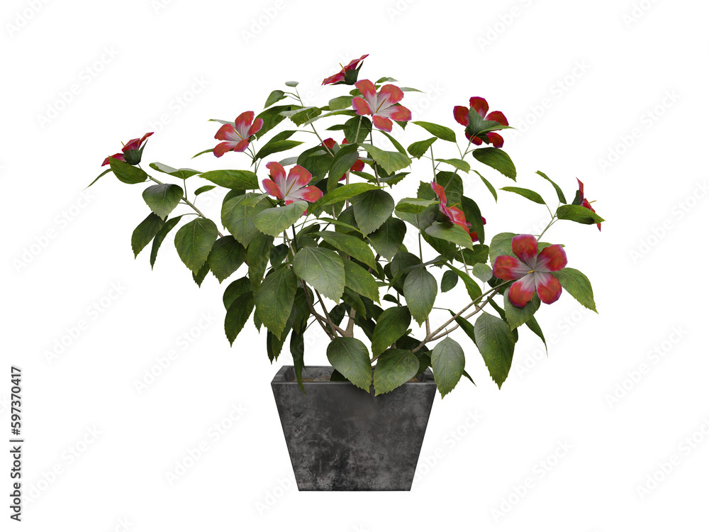 Flower tree png with transparent background Stock Photo | Adobe Stock