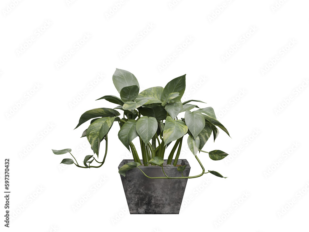 Flower tree png with transparent background Stock Photo | Adobe Stock