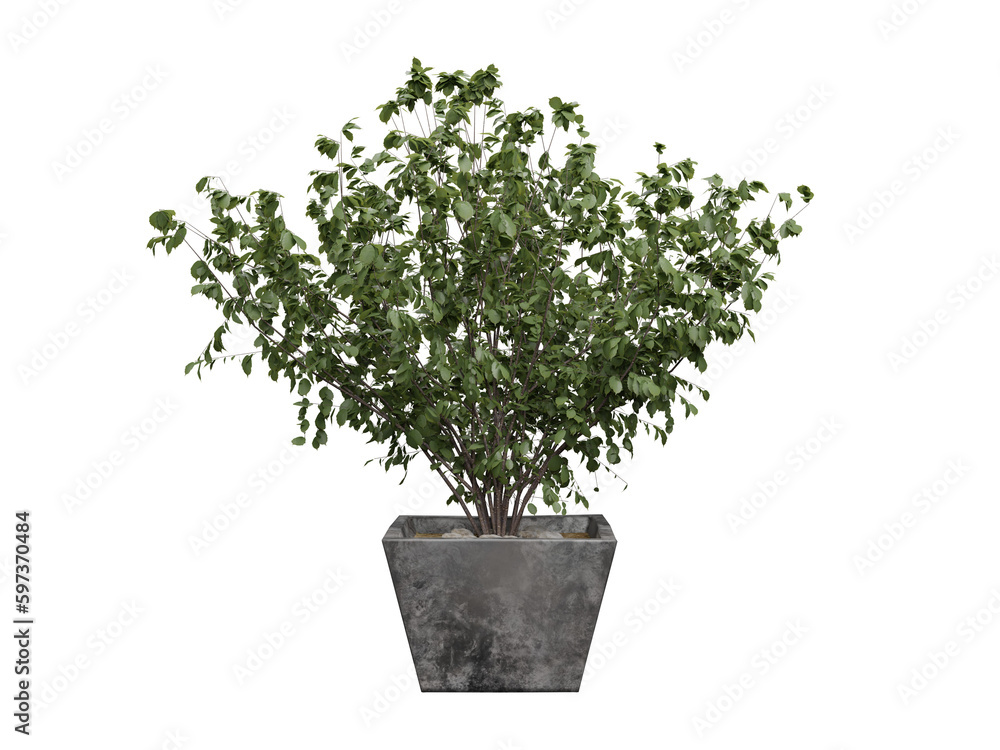 Flower tree png with transparent background Stock Photo | Adobe Stock