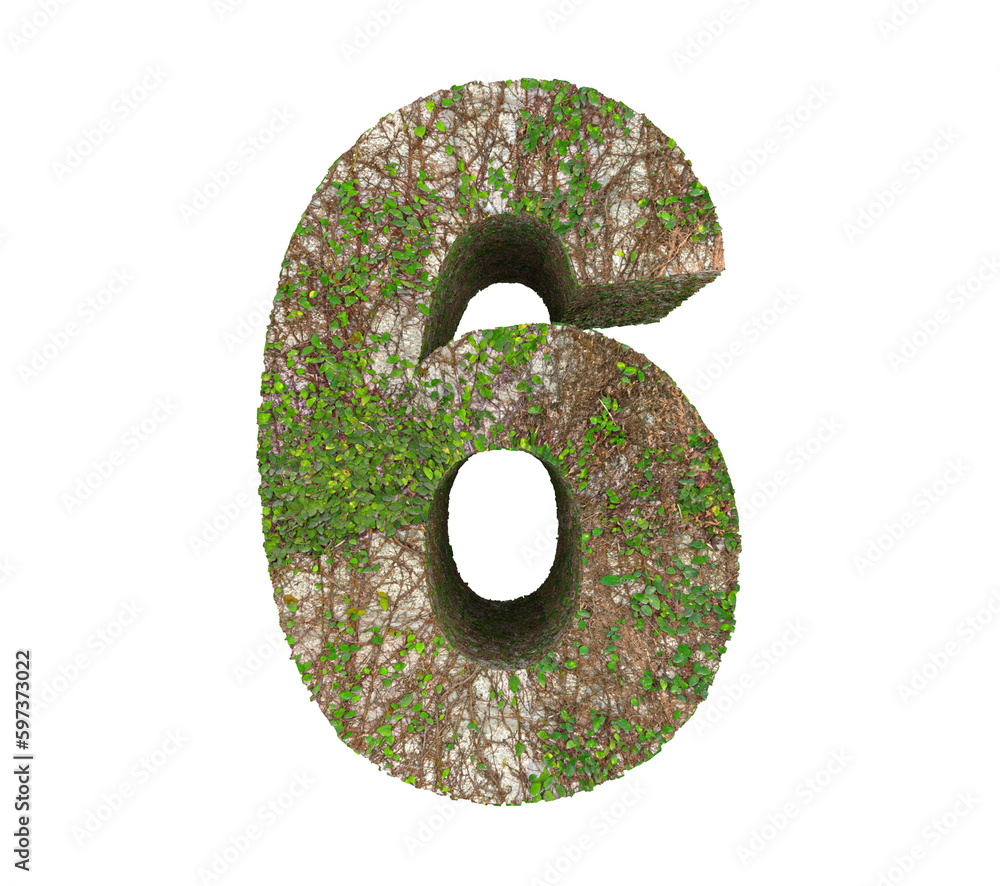 Creeping fig wall number 6 on transparent background Stock Illustration ...