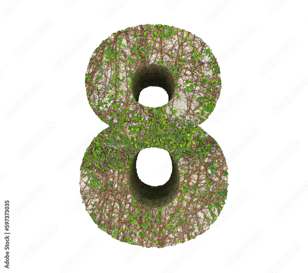 Creeping fig wall number 8 on transparent background Stock Illustration ...