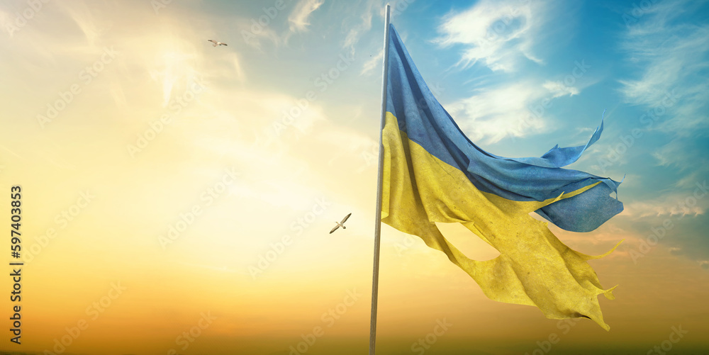 Ukraine Flag, Ukraine - Wartime Flags Stock Illustration | Adobe Stock