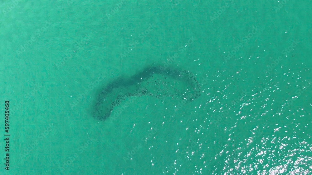 Foto de BUZZARDS BEACH EAST CAPE BCS MEXICO-2023: An Aerial View Of A ...