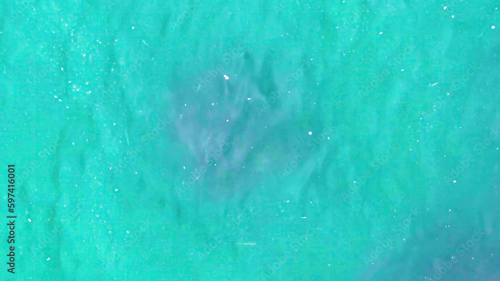 PUNTA BUZZARDS EAST CAPE BCS MEXICO-2022: A Close Up Of A Body Of Water ...