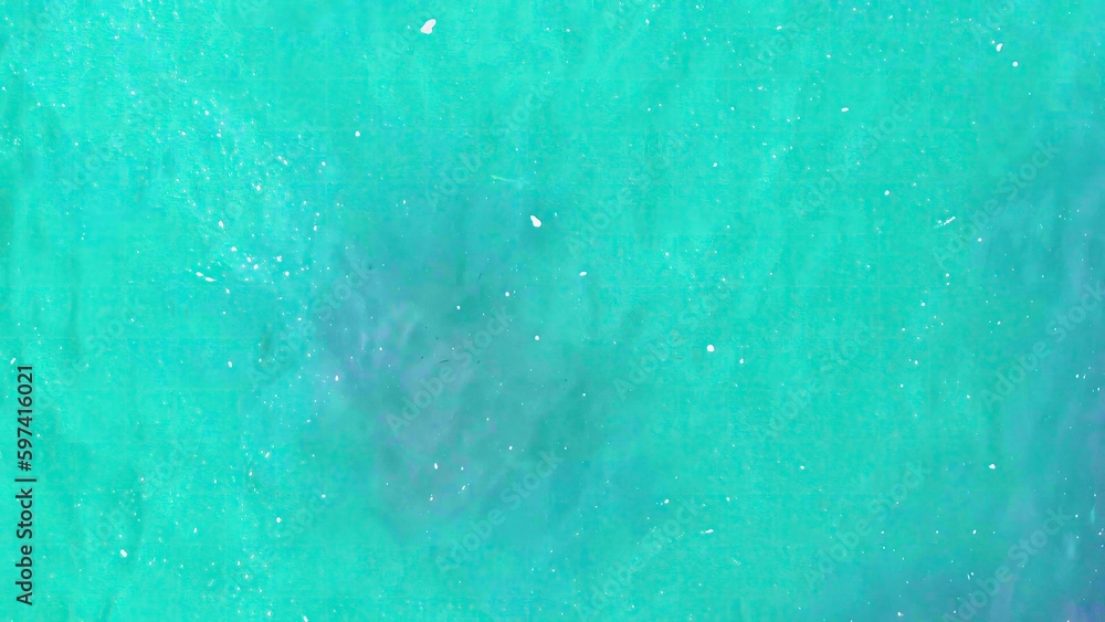 PUNTA BUZZARDS EAST CAPE BCS MEXICO-2022: There Is A Shark Swimming In ...
