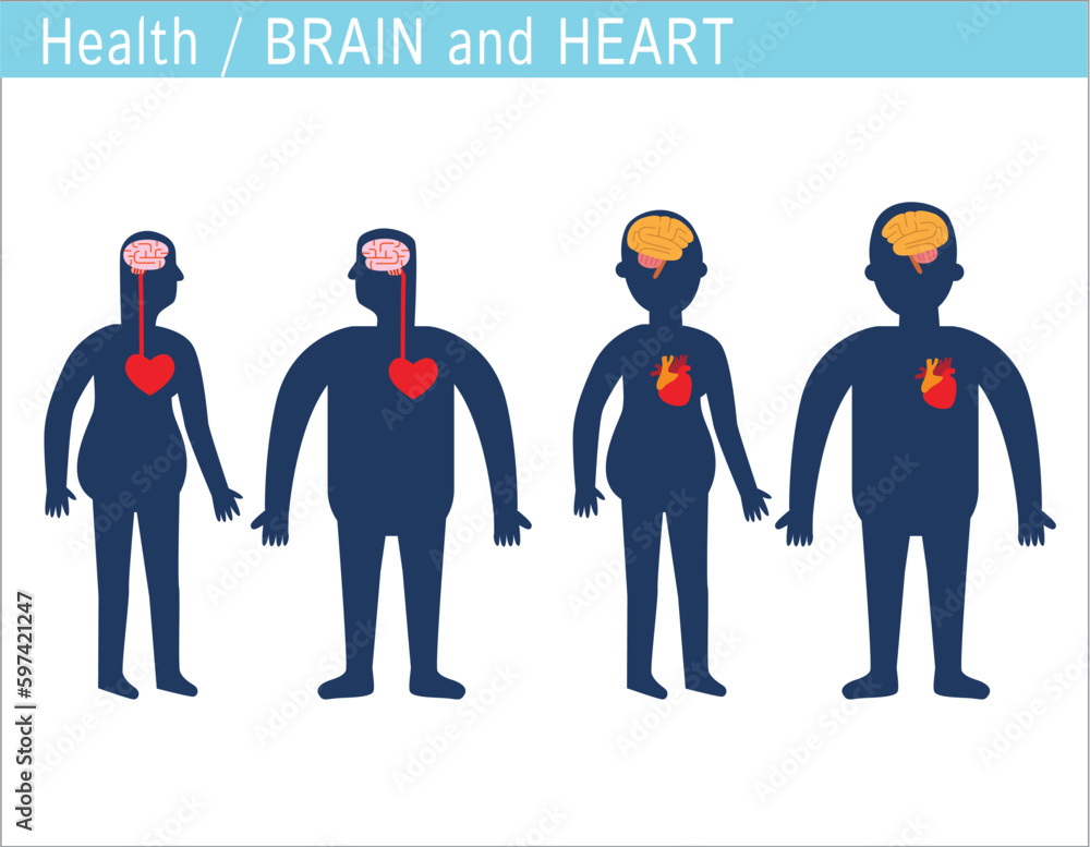 Cartoon human body silhouette with brain and heart. Male and female ...