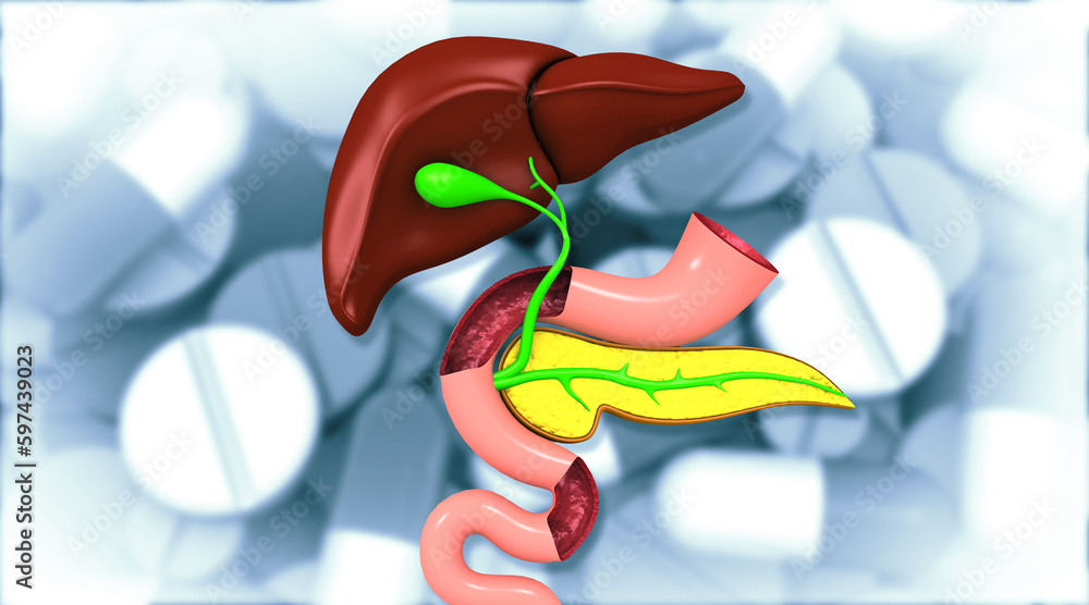 Human digestive system anatomy on medicine pill background. 3d ...