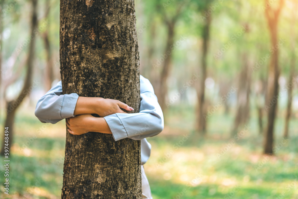 Human hand Hug and touching tree in the forest .people protect from ...
