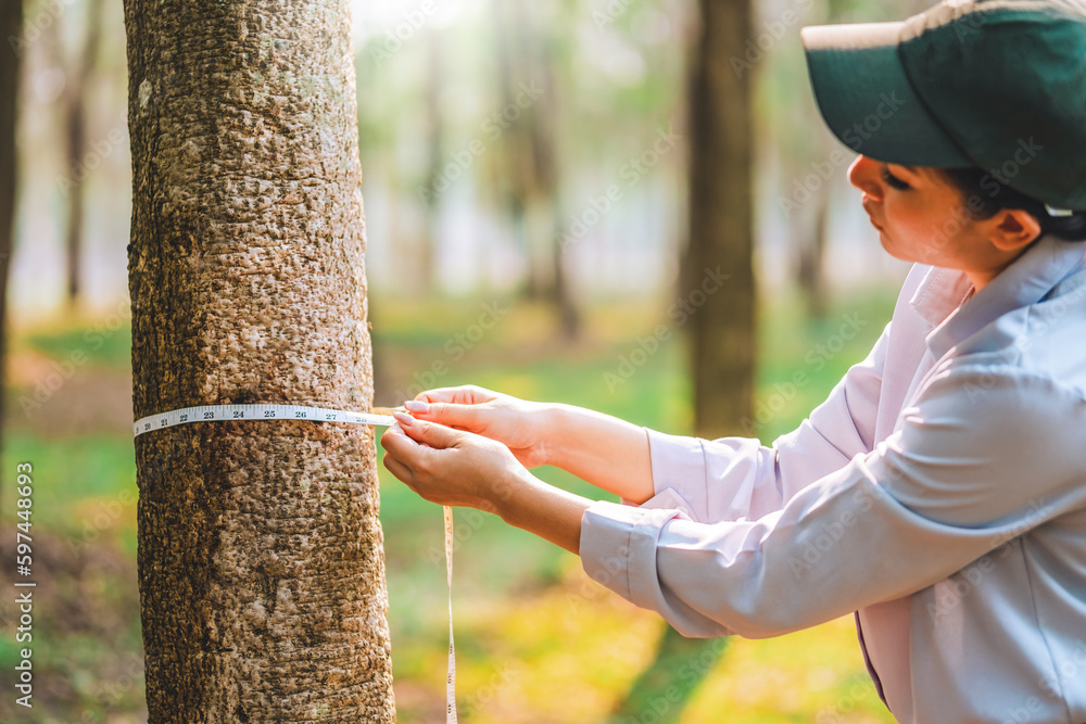 Protect from deforestation and pollution or climate change Concept to ...