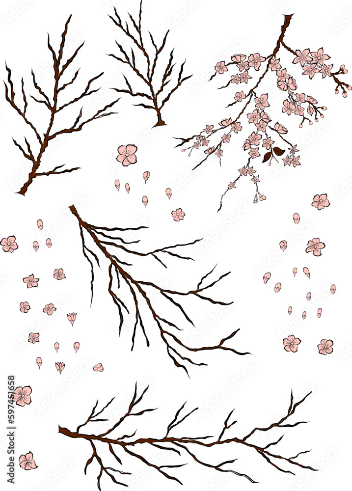 Free hand Sakura flower vector set, Beautiful line art Peach blossom ...