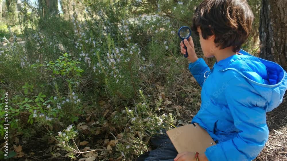 Stockvideo Kid naturalist seated down explores the life of plants and ...