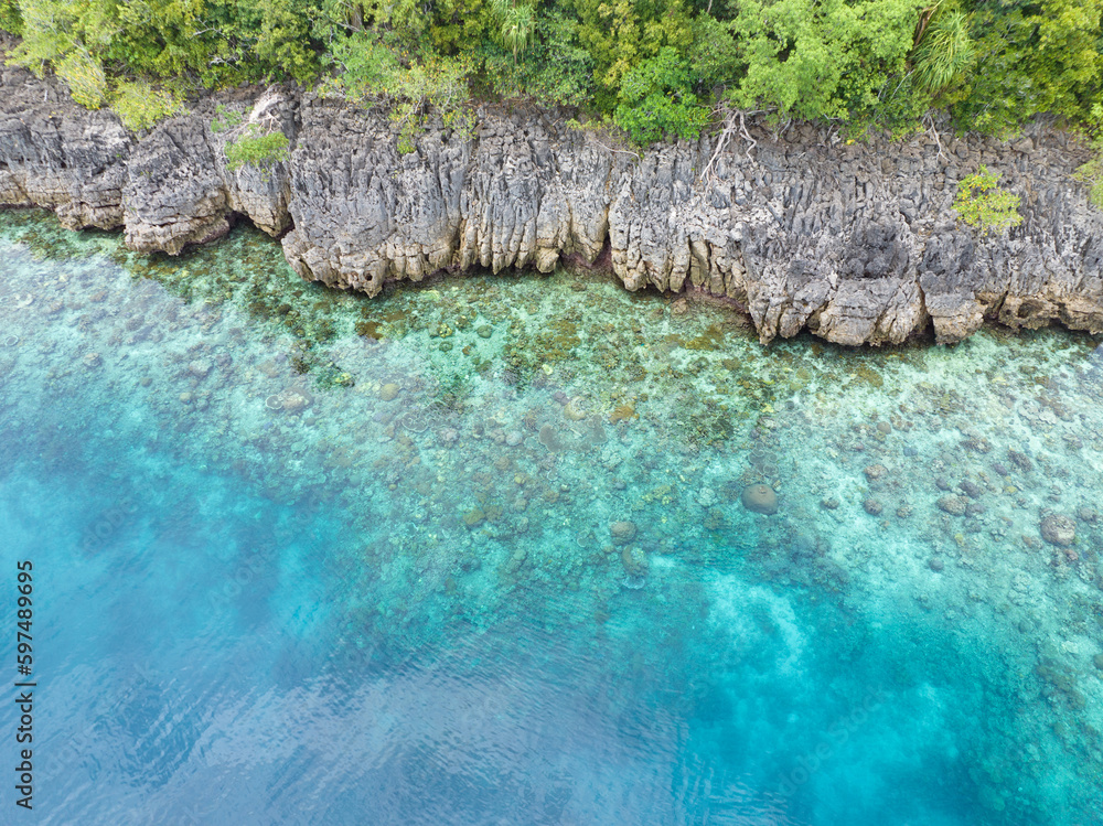 Foto de Beautiful coral reefs surround the dramatic limestone islands ...