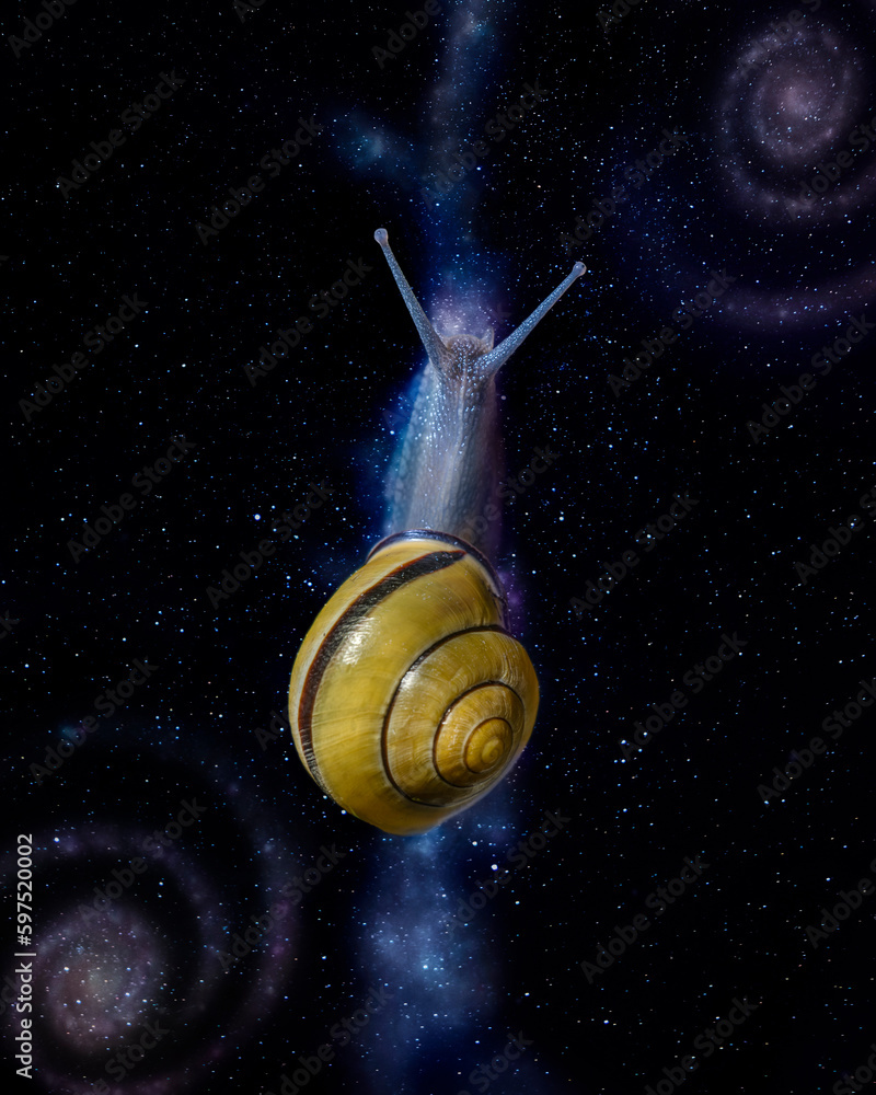 Snail in outer space on a dark background of starry space, abstract ...