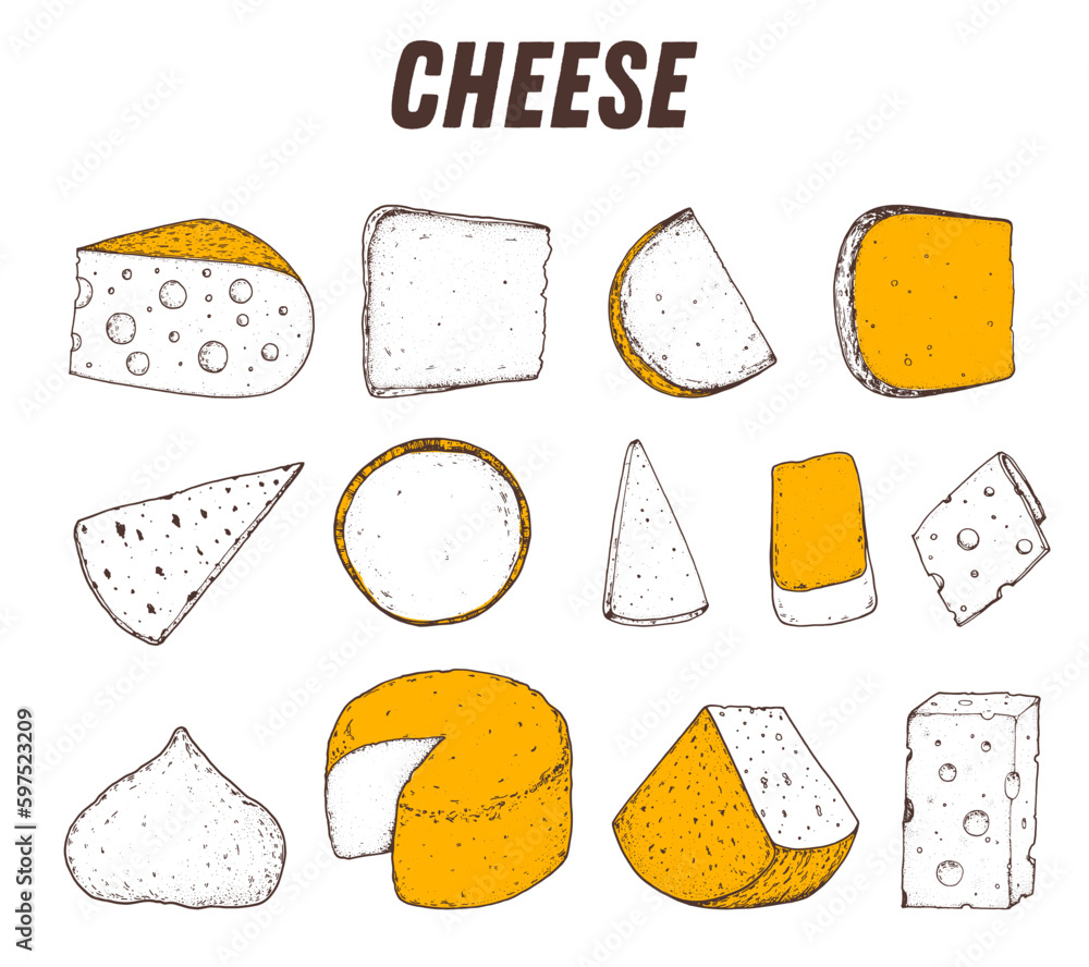 Cheese sketch, hand drawing elements. Hand drawn sketch. Retro food ...