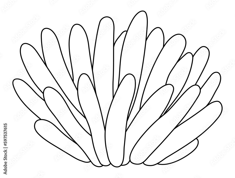 Vector black and white sea anemone icon. Under the sea line ...