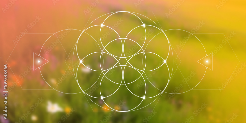 Flower of life. Tree of life. Sacred geometry spiritual new age ...