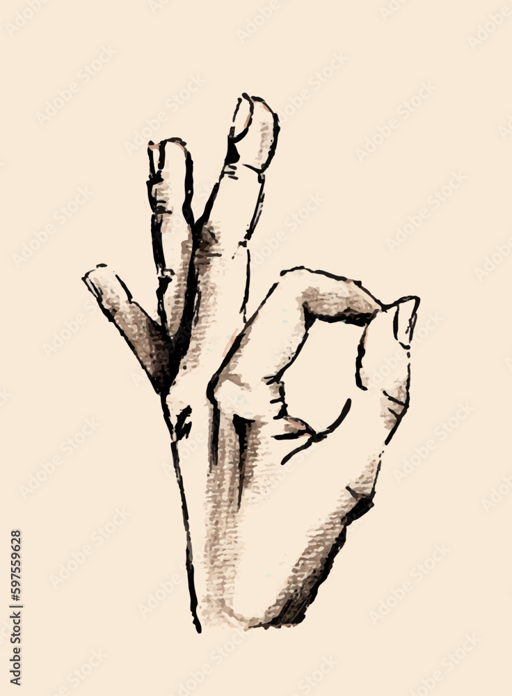 Hand drawn pencil sketches of hands gestures. Beautiful vector drawing ...