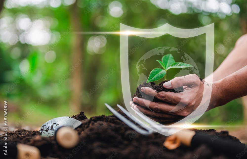 Foto de nature, leaf, plant, earth, growth, grow, protection, eco, environmental, global. a ...