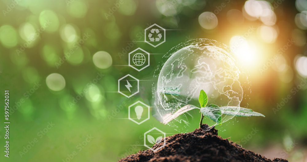 Foto de plant, nature, leaf, earth, climate change, grow, protection ...