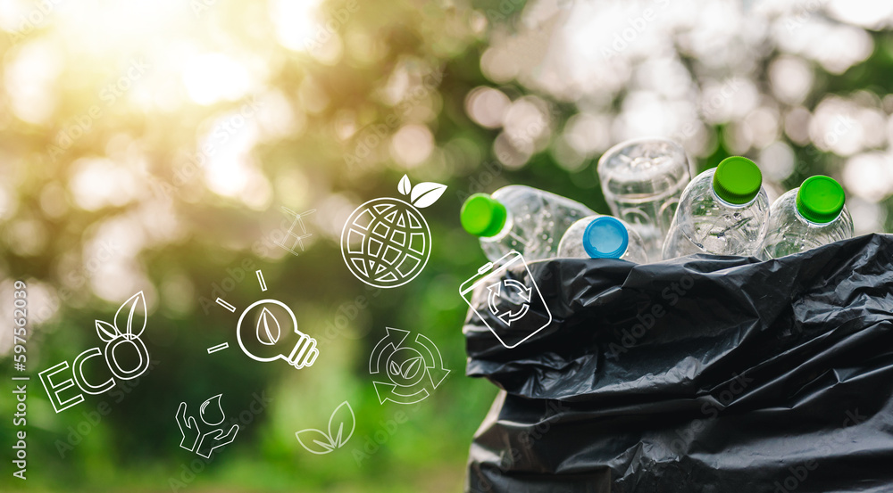 recycle, eco, plastic, plastic bottle, recycling, environmental, reuse ...