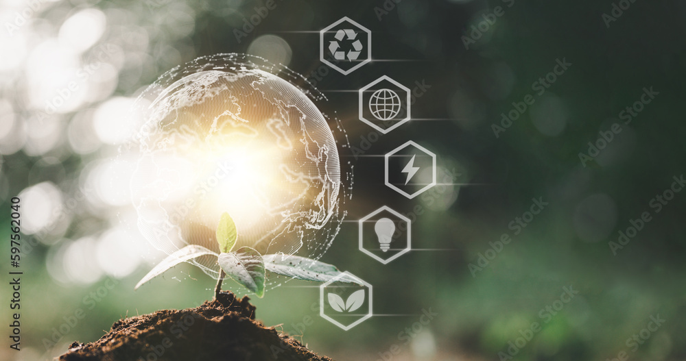 plant, nature, leaf, earth, climate change, grow, protection, eco, seed ...