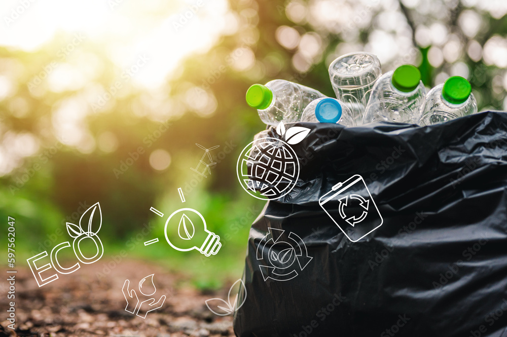 recycle, eco, plastic, plastic bottle, recycling, environmental, reuse ...