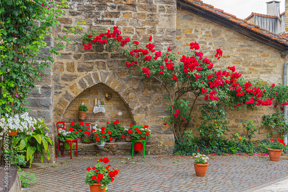 Fachada de casa adornada con plantas Stock Photo | Adobe Stock