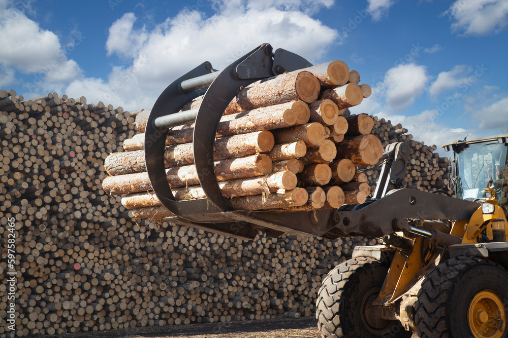 Foto de Loading logs with a special loader.Timber products warehouse on ...