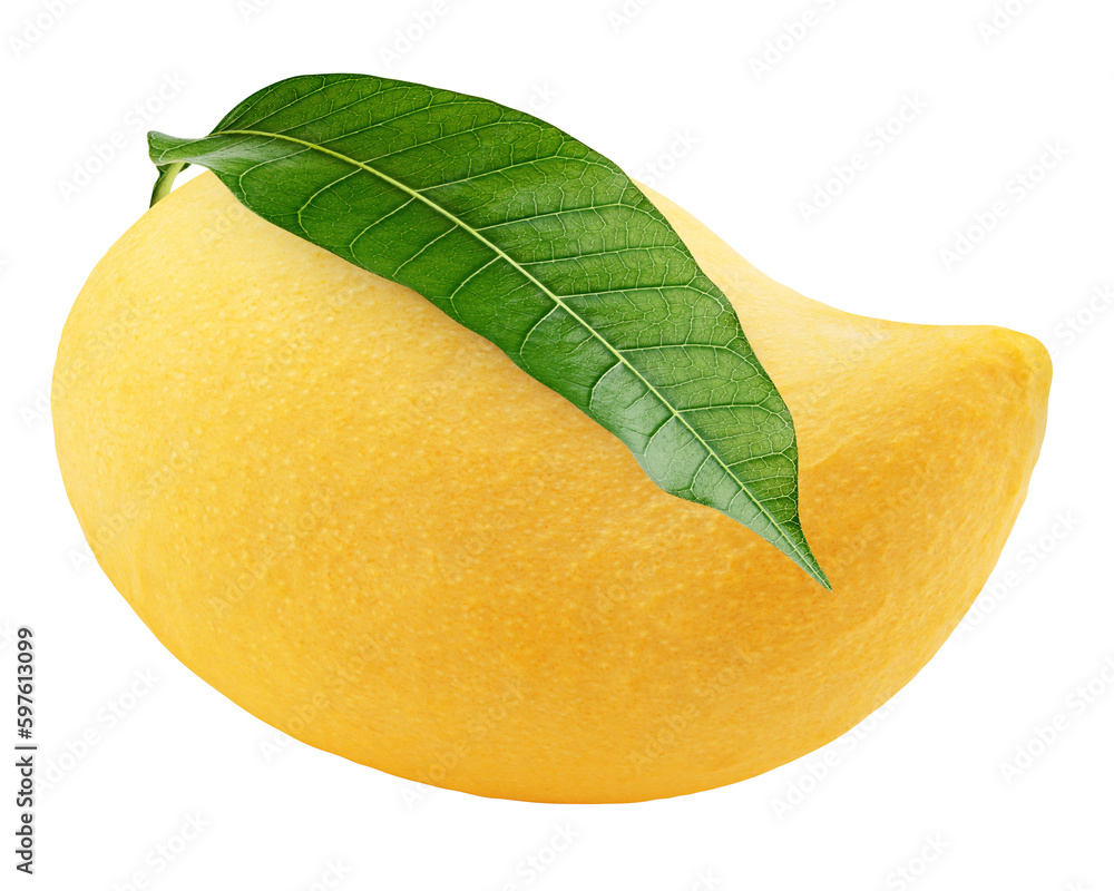 yellow Mango isolated on white background, full depth of field Stock ...