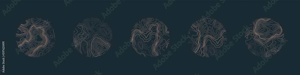 Different Contour Topography Maps in Circles Vector Abstract Design ...