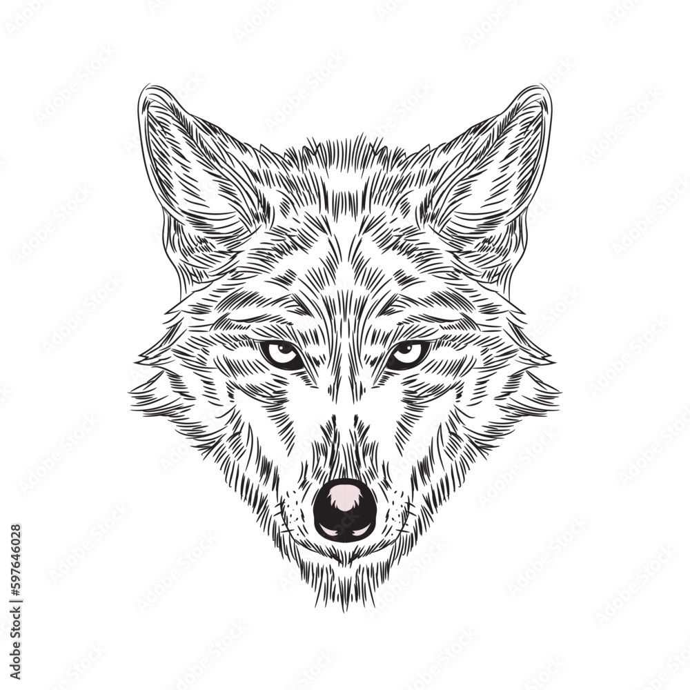 Wolf face vector illustration in hand drawn style, perfect for t shirt ...