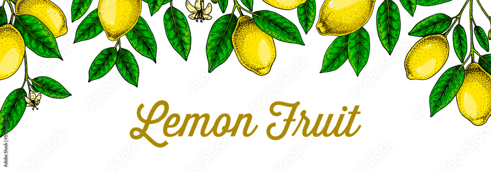 Horizontal lemon background. Hand drawn colorful vector illustration in ...