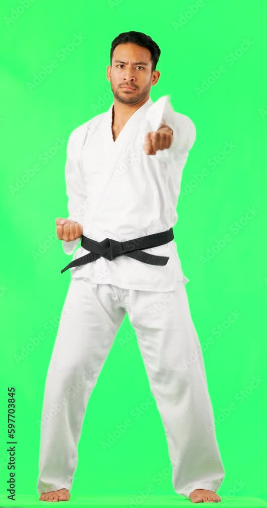 Portrait, karate and punching with a man on a green screen background ...