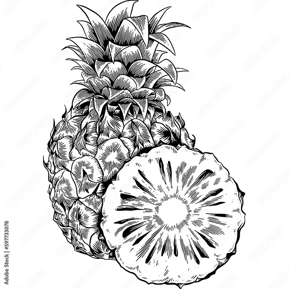 Hand drawn Pineapple Slice Sketch Illustration Stock Vector | Adobe Stock