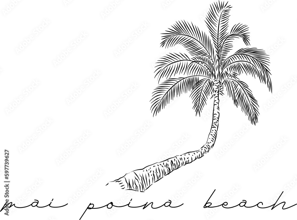 A hand drawn vector illustration of a curved palm tree on the Mai Poina ...