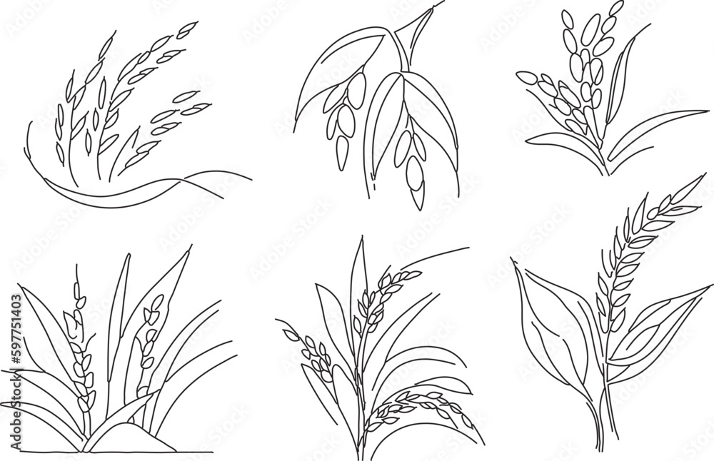 Rice Crop line art vector on white background Stock Vector | Adobe Stock