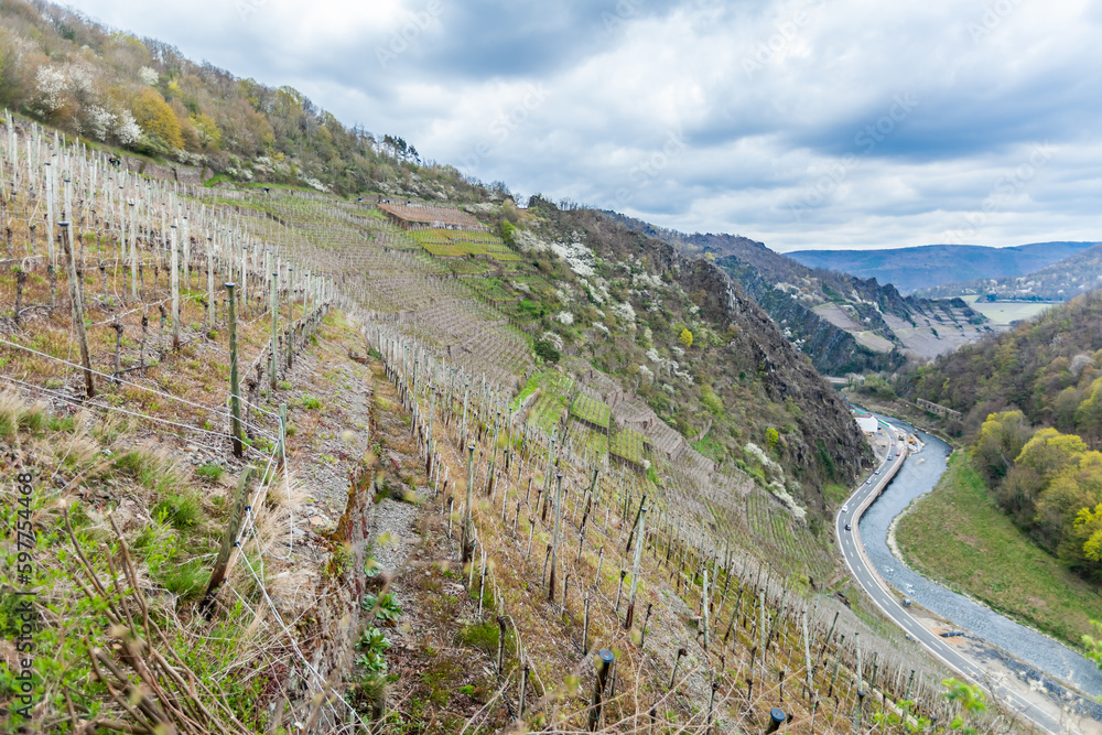 The Ahr region is small but mighty. Named after the river that flows ...