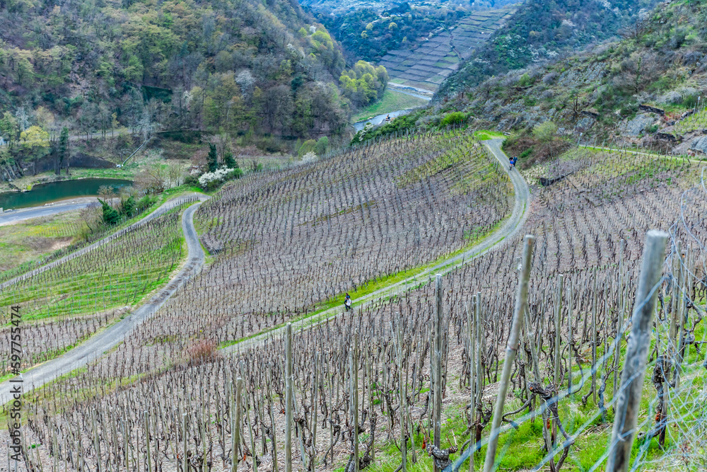 The Ahr region is small but mighty. Named after the river that flows ...