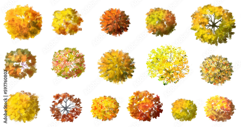 vector watercolor tree top view isolated on white background for ...