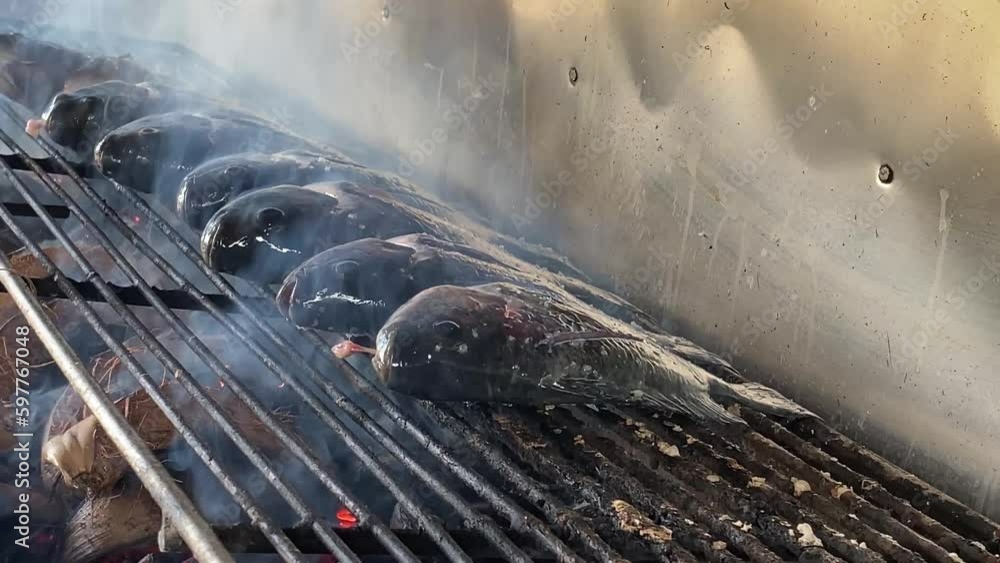 Tilapia fish grilled on burning dried coconut husks. Close up Stock ビデオ ...